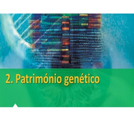 Agentes Mutagênico | PPTX