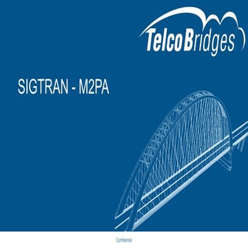 SIGTRAN M2PA Technical Training from TelcoBridges | PDF