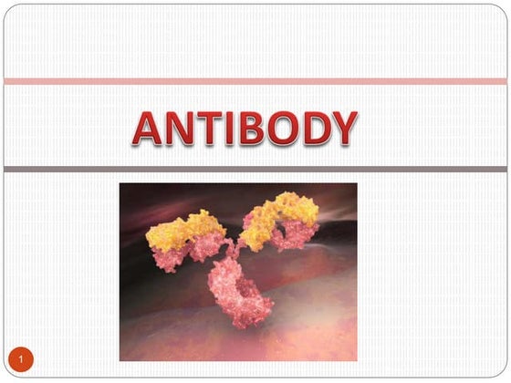 Antibodies and their types with functions | PPTX | Chemistry | Science