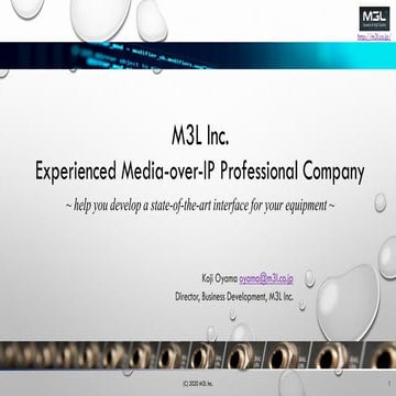 M3L Inc Company Profile (August 19th, 2020 version) | PPT