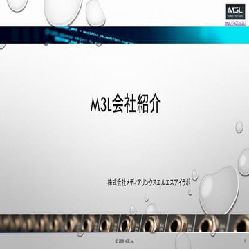 M3L会社紹介資料 (2020.8.19日本語版) | PDF
