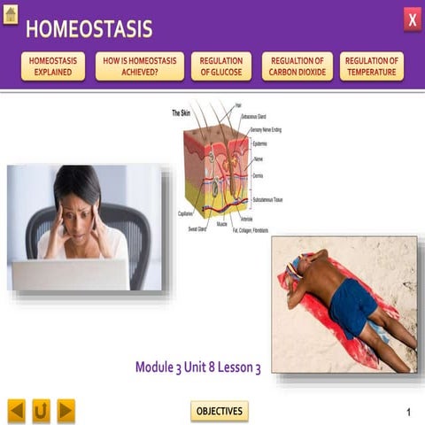 Biology M3 Homeostasis | PPTX