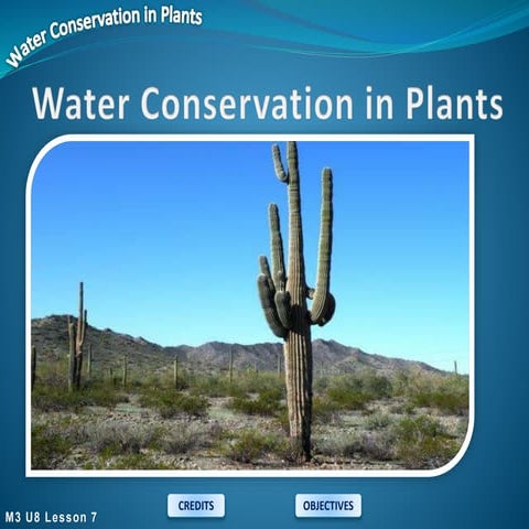 Biology M3 Water Conservation in plants | PPT