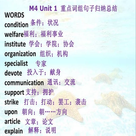 M4 unit 1 unit 5 重点词组句子归纳总结 | PPT