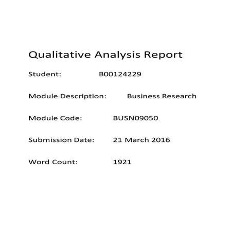 Qualitative Analysis Report | PDF