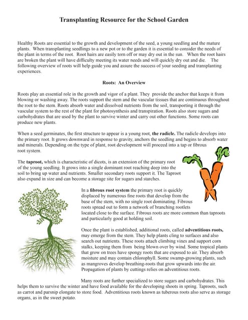 Plants 3rd grade | PPT