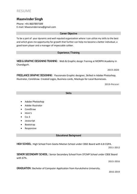 Professional CV Resume.pdf