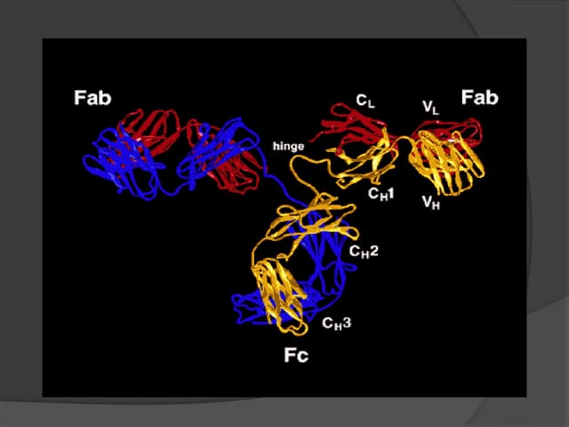MONOCLONAL ANTIBODIES: Preparation & Application | PPTX