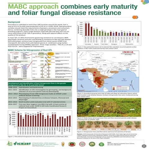 MABC approach combines early maturity and foliar fungal disease ...