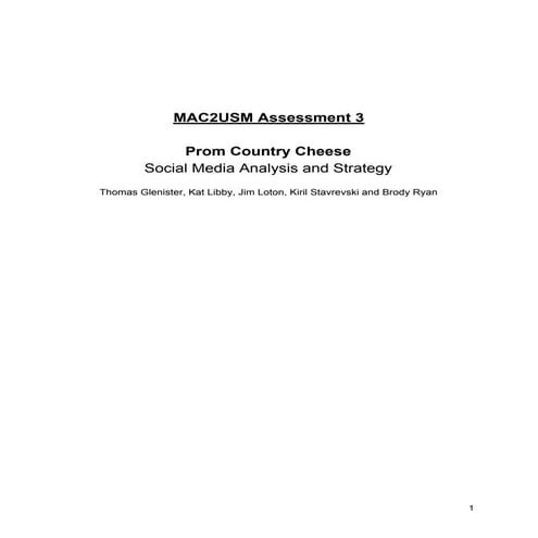 Viceland Social Media Brand Assessment | PDF