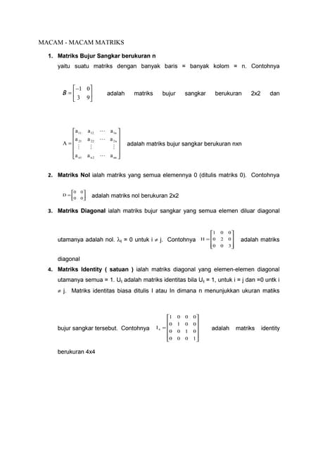 Macam matriks dg program maple | PDF