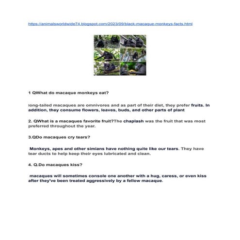 macaque monkeys .pdf