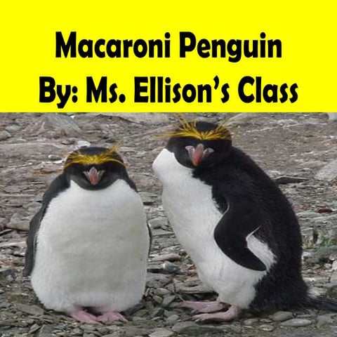 Macaroni penguin | PPTX