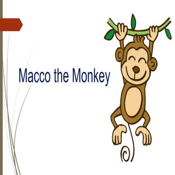 Macco The Monkey -Kinder | PPT