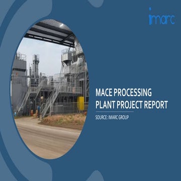 Mace Processing Plant Project Report.pptx