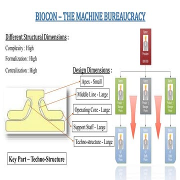 Machine bureaucracy | PPTX