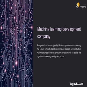 Jenitha John on Auditing, Growth, and Governance | PDF