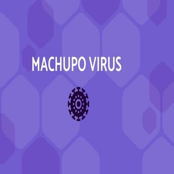 Machupo virus (1).pptx