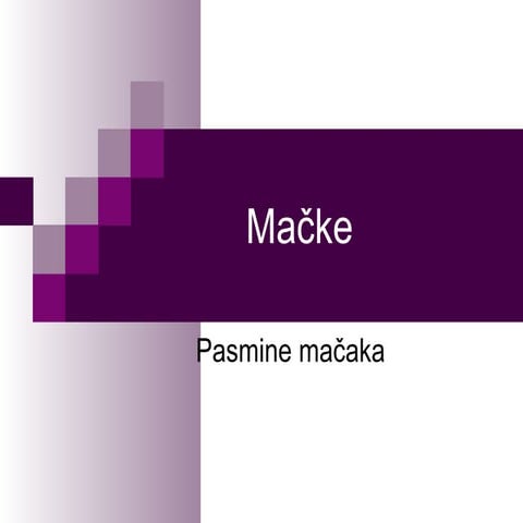 Macke | PPT