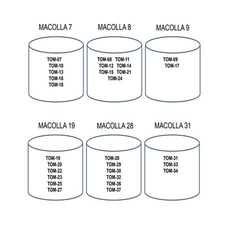 Macollas de cada pozo de Moporo Tierra.pptx