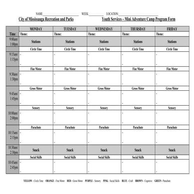 Mms Program Form 2009 | DOC