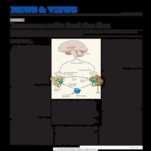 GLP 1 E GIP: DIFERENÇAS E SEMELHANÇAS | PDF