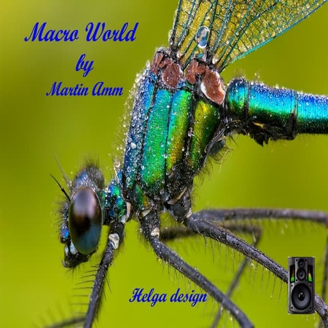 Macro World | PPT