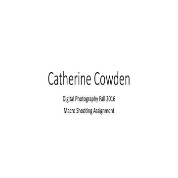 Macro Assignment Pdf 3924