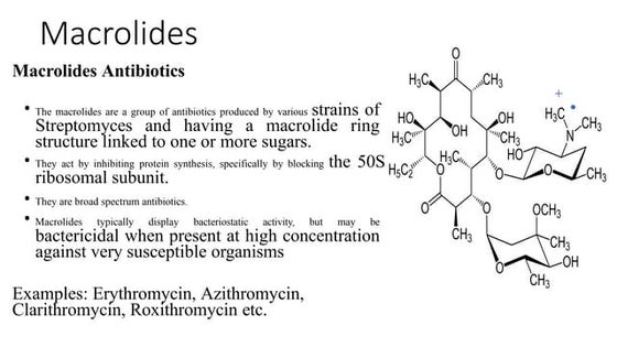 Macrolides | PPTX