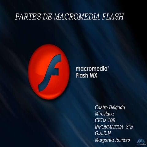 Guia flash 8 | PDF