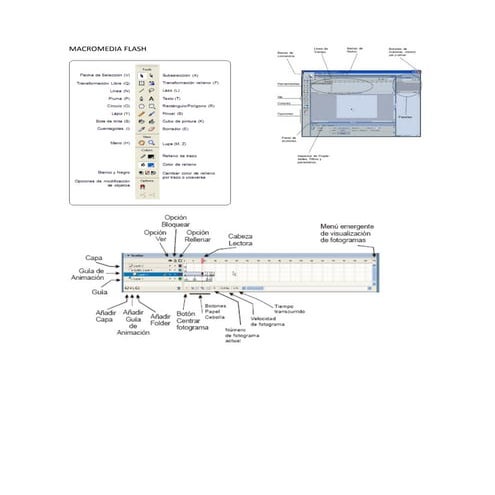 Macromedia flash imprimir | PDF