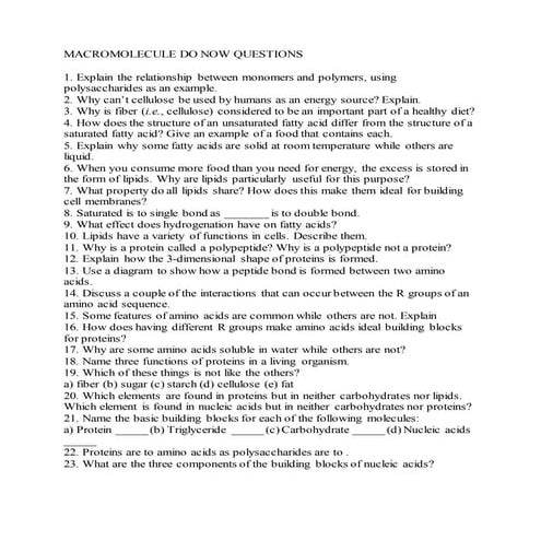 Macromolecule do now questions | DOCX