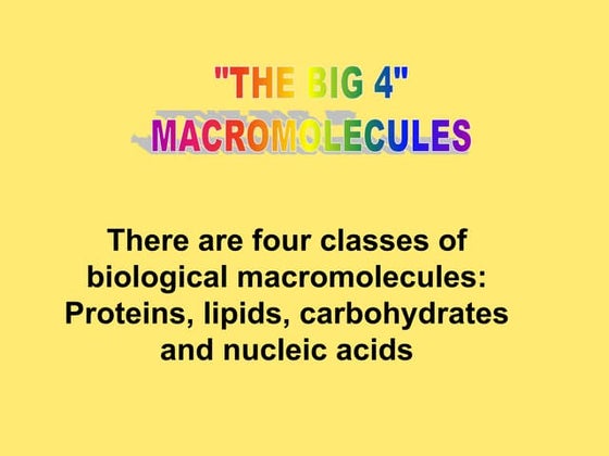 Full IUPAC Name for the Protein Titin | PDF