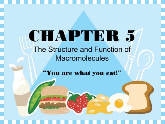 Full IUPAC Name for the Protein Titin | PDF