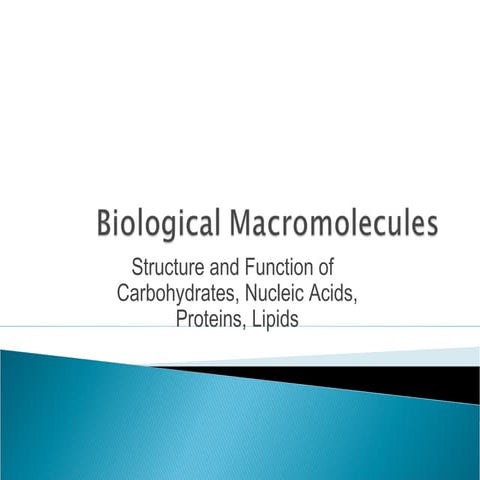 Macromolecules in cells | PPT