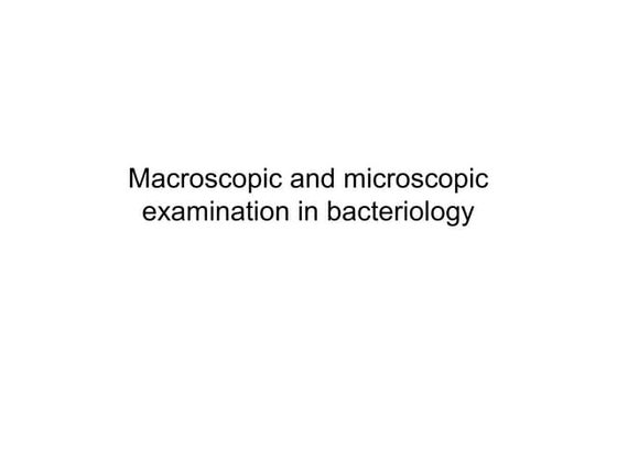 Fecal examination lab report | PDF