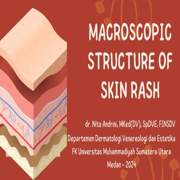 Ppt Macroscopic Structure of Skin Rash.pdf