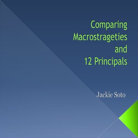 Macrostrategies and 12 principals | PPTX