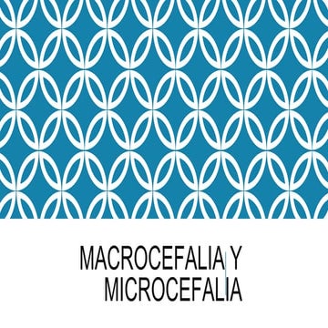 macro y microcefalia | PPTX