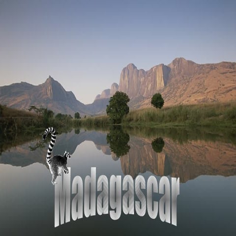 Madagascar | PPS