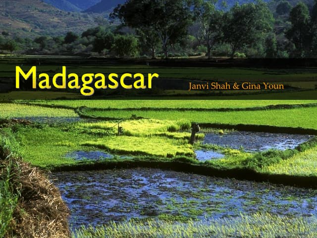 Government and natural resources - Madagascar case study | PPTX