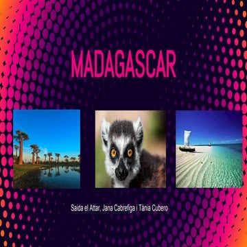 Madagascar | PDF