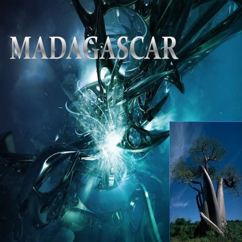 Madagascar French Project | PPTX