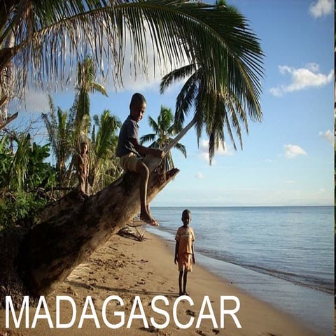 Madagascar powerpoint | PPTX
