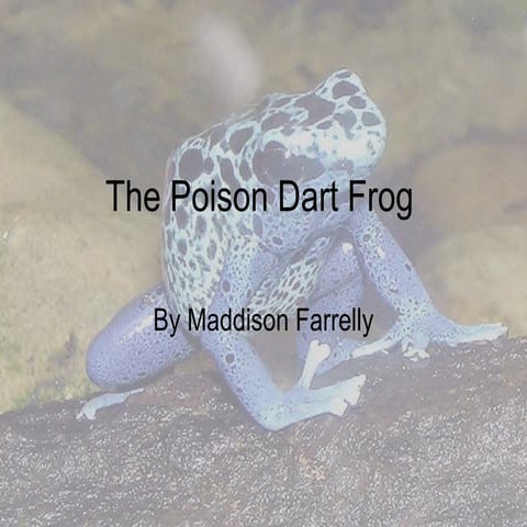 Poison Dart Frog | PPTX