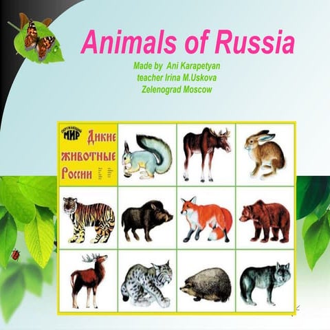 Animals of Russia | PPTX