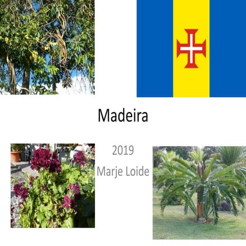 Madeira | PPT