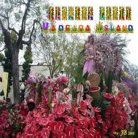 Madeira Flowers Party | PPS