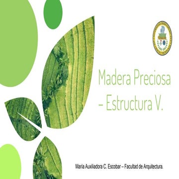 MADERA PRECIOSA - ESTRUCTURA V..pptx