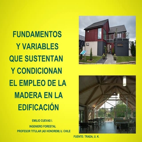 Fundamentos y variables que sustentan y condicionan el empleo ...